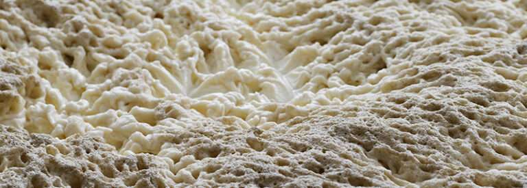 Het verschil tussen bovengistend en ondergistend bier - DrankDozijn.nl Blog